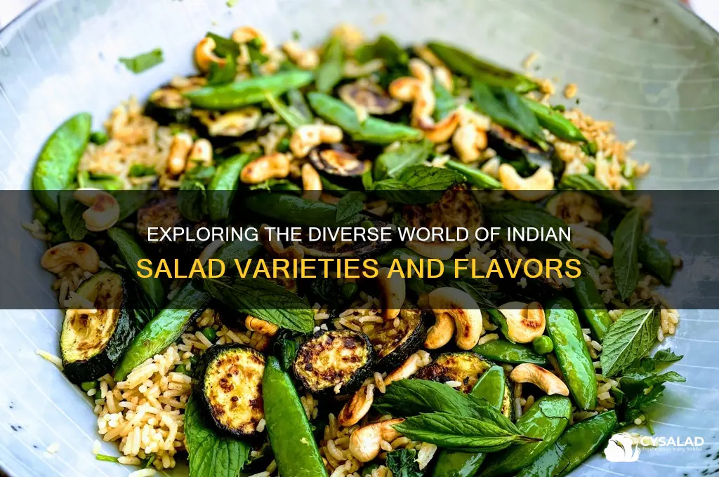 Exploring The Diverse World Of Indian Salad Varieties And Flavors | CySalad