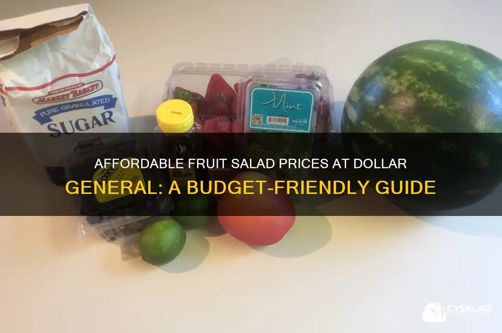Affordable Fruit Salad Prices At Dollar General: A Budget-Friendly ...