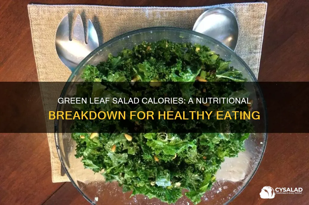 Green Leaf Salad Calories: A Nutritional Breakdown For Healthy Eating ...