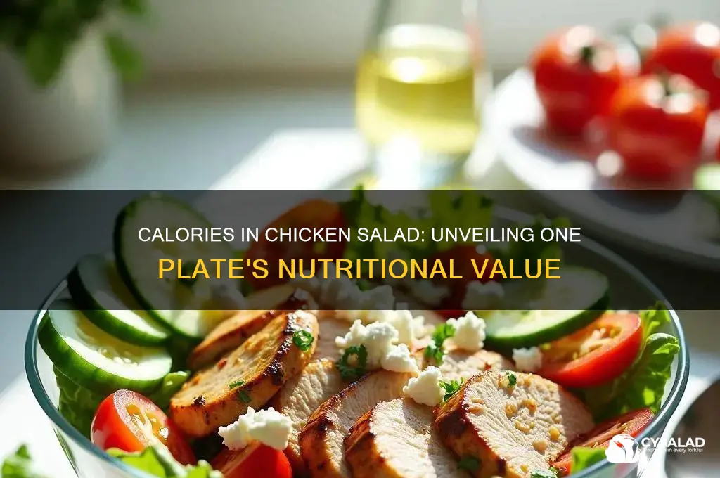 Calories In Chicken Salad: Unveiling One Plate's Nutritional Value ...