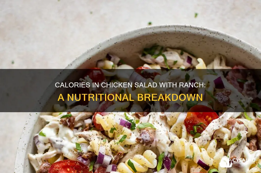Calories In Chicken Salad With Ranch: A Nutritional Breakdown | CySalad