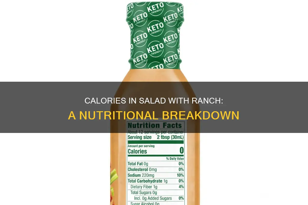 Calories In Salad With Ranch: A Nutritional Breakdown | CySalad