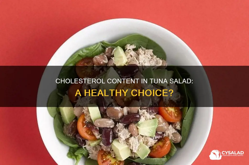 Cholesterol Content In Tuna Salad: A Healthy Choice? | CySalad