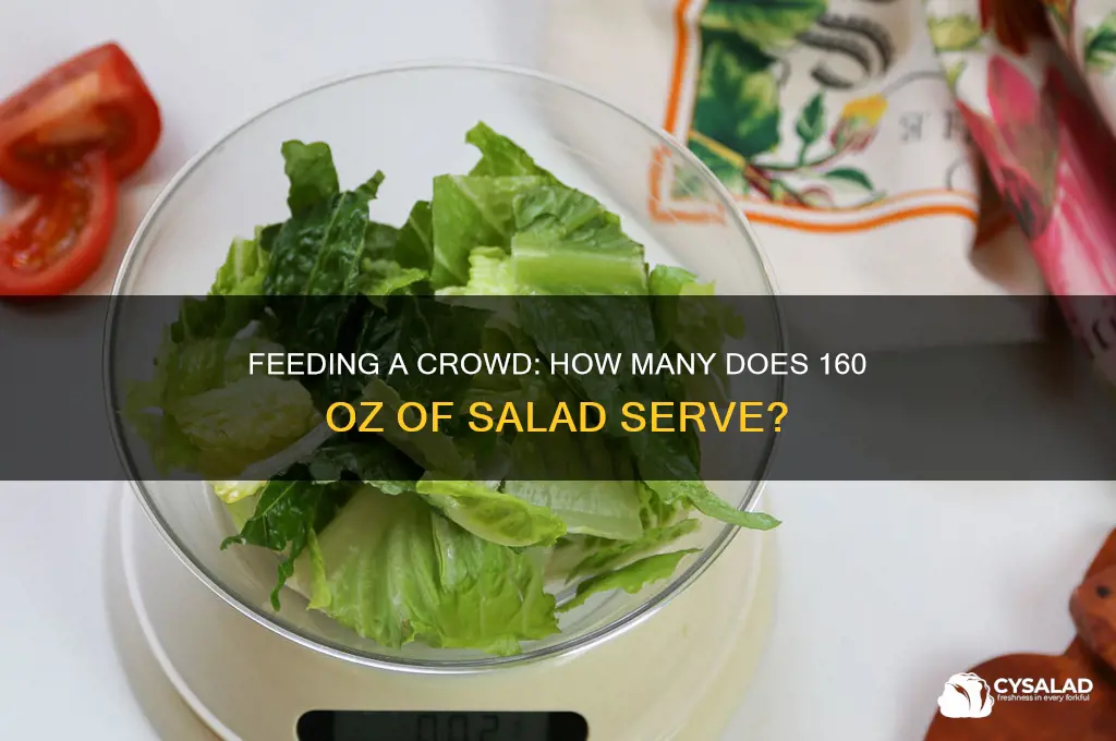 Feeding A Crowd: How Many Does 160 Oz Of Salad Serve? | CySalad