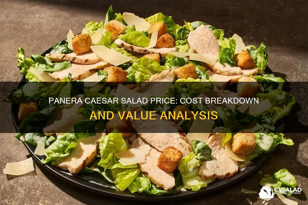 Panera Caesar Salad Price: Cost Breakdown And Value Analysis | CySalad