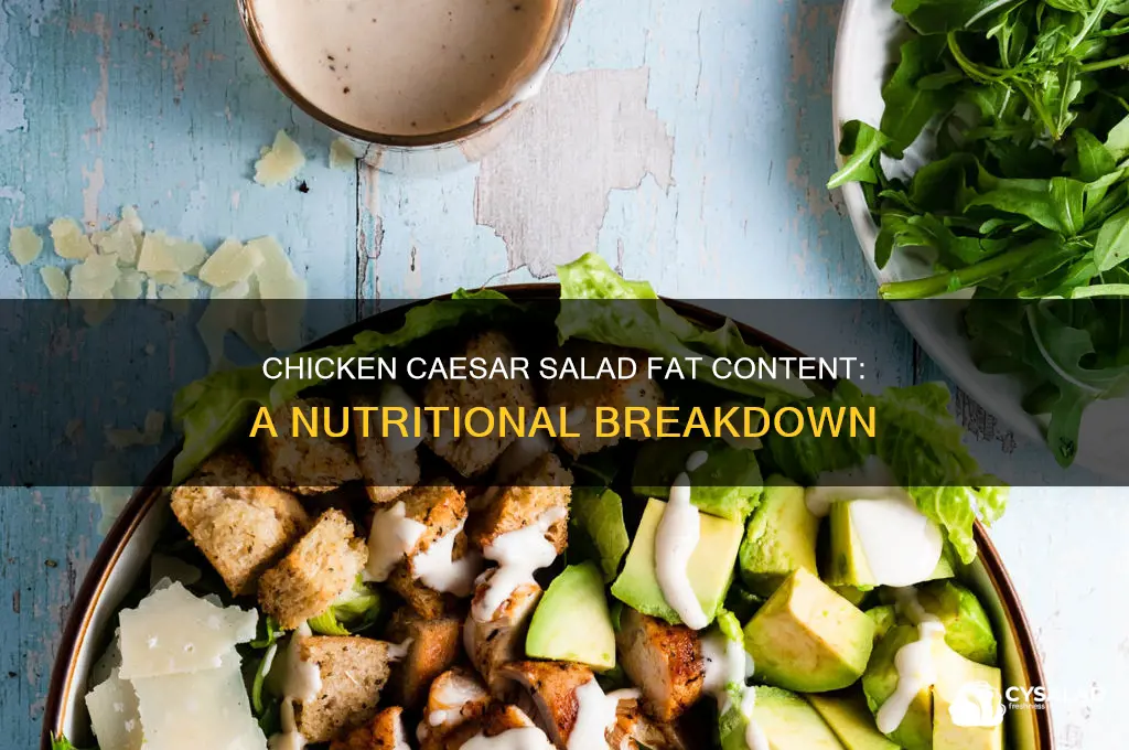 Chicken Caesar Salad Fat Content: A Nutritional Breakdown | CySalad