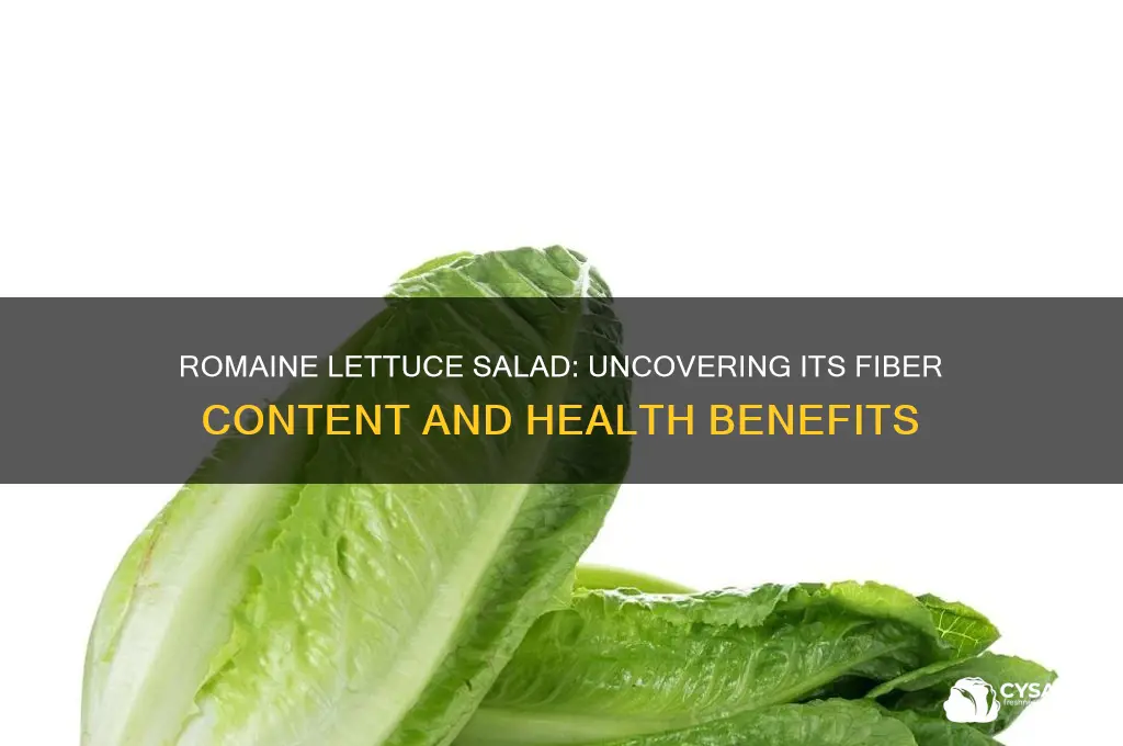 Romaine Lettuce Salad: Uncovering Its Fiber Content And Health Benefits ...