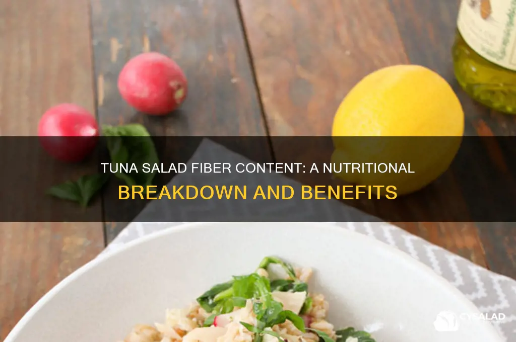 Tuna Salad Fiber Content: A Nutritional Breakdown And Benefits | CySalad