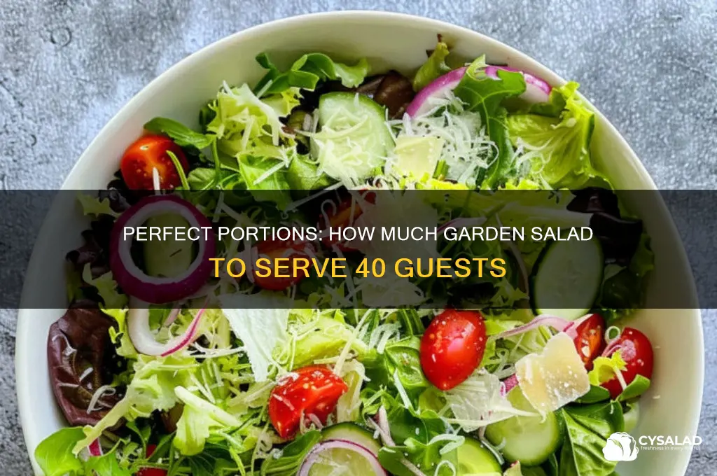 Perfect Portions: How Much Garden Salad To Serve 40 Guests | CySalad