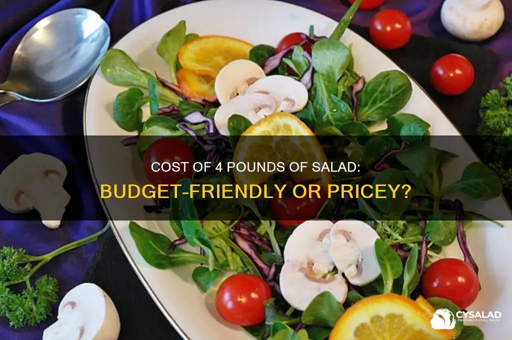 Cost Of 4 Pounds Of Salad: Budget-Friendly Or Pricey? | CySalad