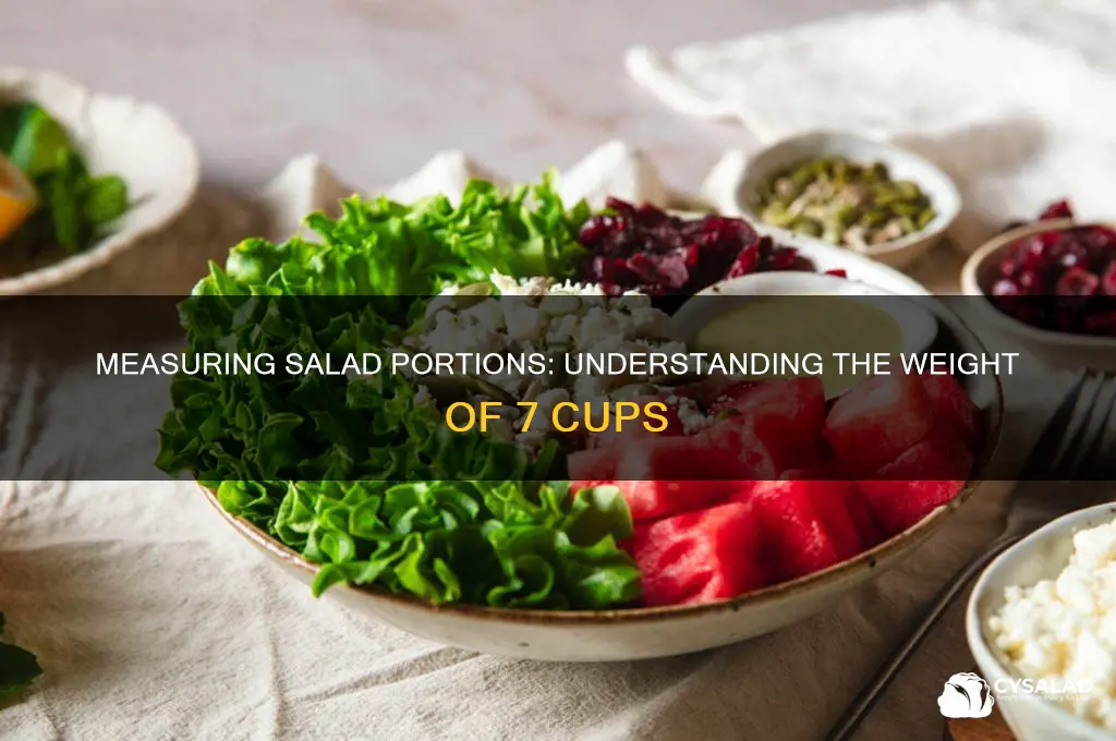 Measuring Salad Portions: Understanding The Weight Of 7 Cups | CySalad