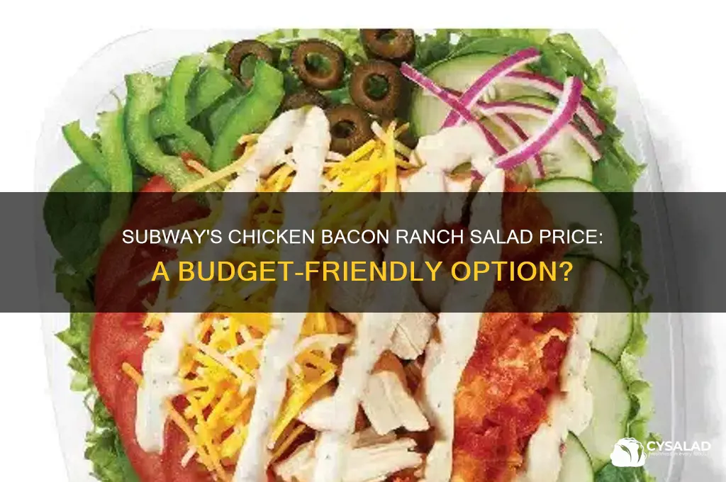 Subway's Chicken Bacon Ranch Salad Price: A Budget-Friendly Option ...