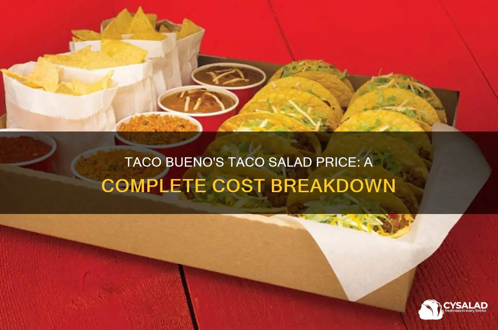 Taco Bueno's Taco Salad Price: A Complete Cost Breakdown | CySalad