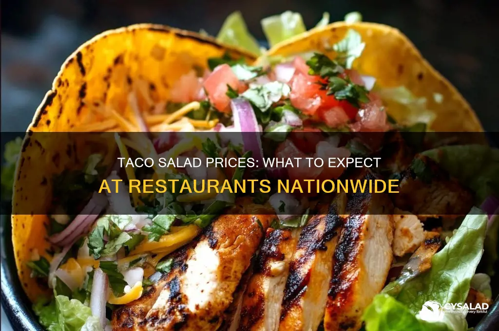 Taco Salad Prices: What To Expect At Restaurants Nationwide | CySalad