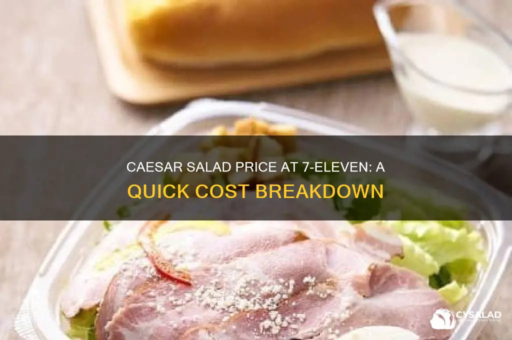 Caesar Salad Price At 7-Eleven: A Quick Cost Breakdown | CySalad