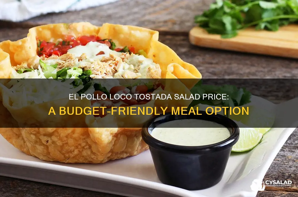 El Pollo Loco Tostada Salad Price: A Budget-Friendly Meal Option | CySalad