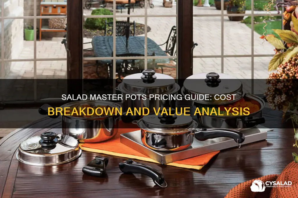 Salad Master Pots Pricing Guide: Cost Breakdown And Value Analysis ...