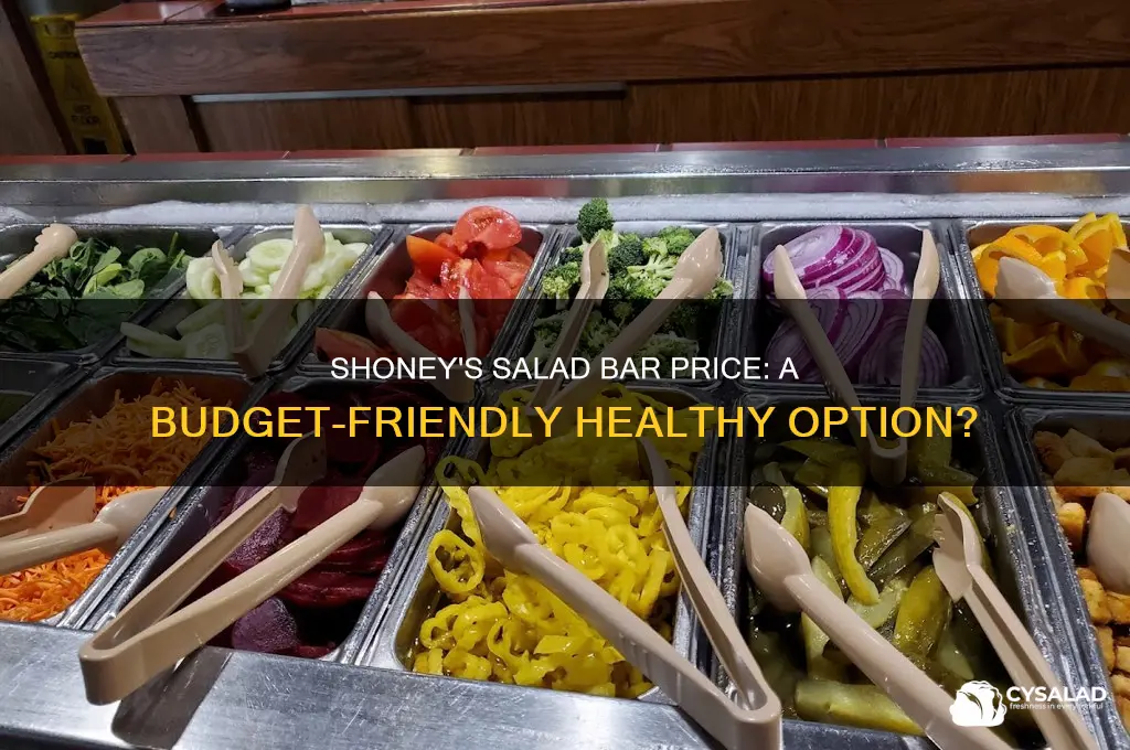 Shoney's Salad Bar Price: A Budget-Friendly Healthy Option? | CySalad