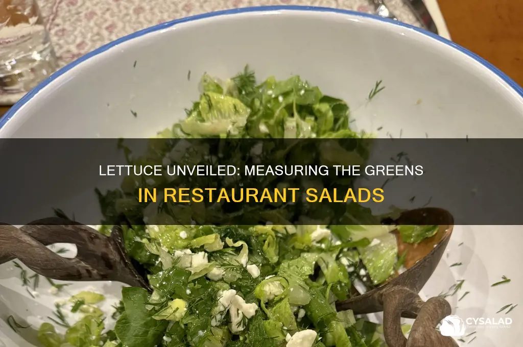 Lettuce Unveiled: Measuring The Greens In Restaurant Salads | CySalad