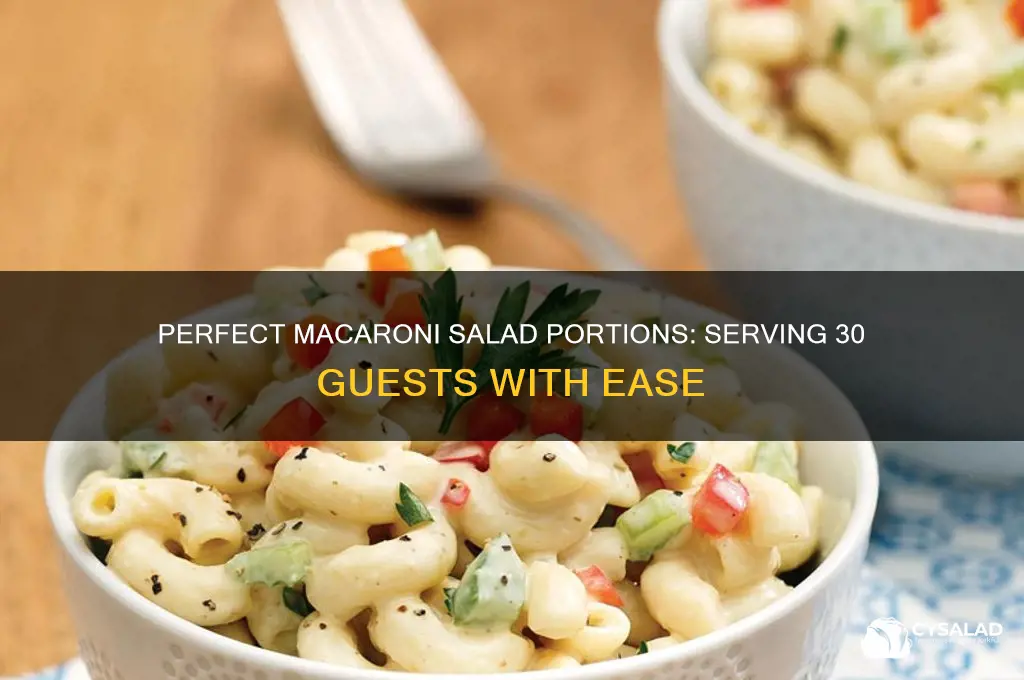 Perfect Macaroni Salad Portions: Serving 30 Guests With Ease | CySalad