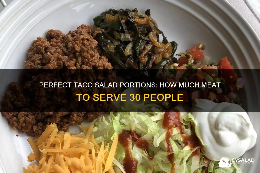 Perfect Taco Salad Portions: How Much Meat To Serve 30 People | CySalad