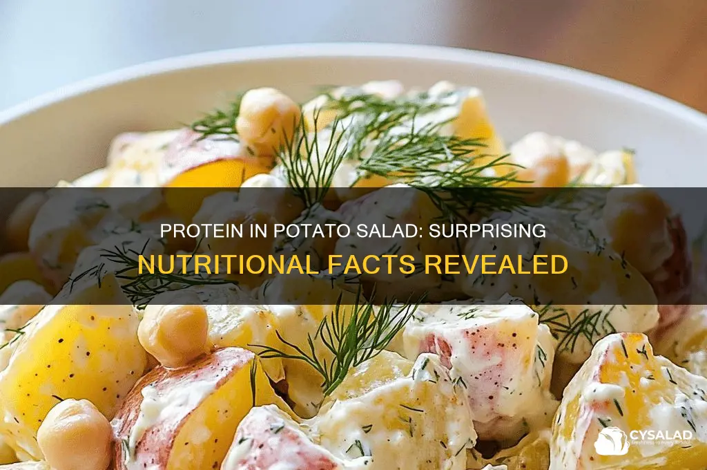 Protein In Potato Salad: Surprising Nutritional Facts Revealed | CySalad