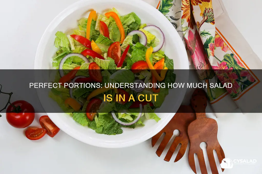 Perfect Portions: Understanding How Much Salad Is In A Cut | CySalad