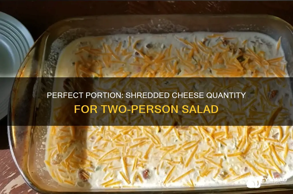 Perfect Portion: Shredded Cheese Quantity For Two-Person Salad | CySalad