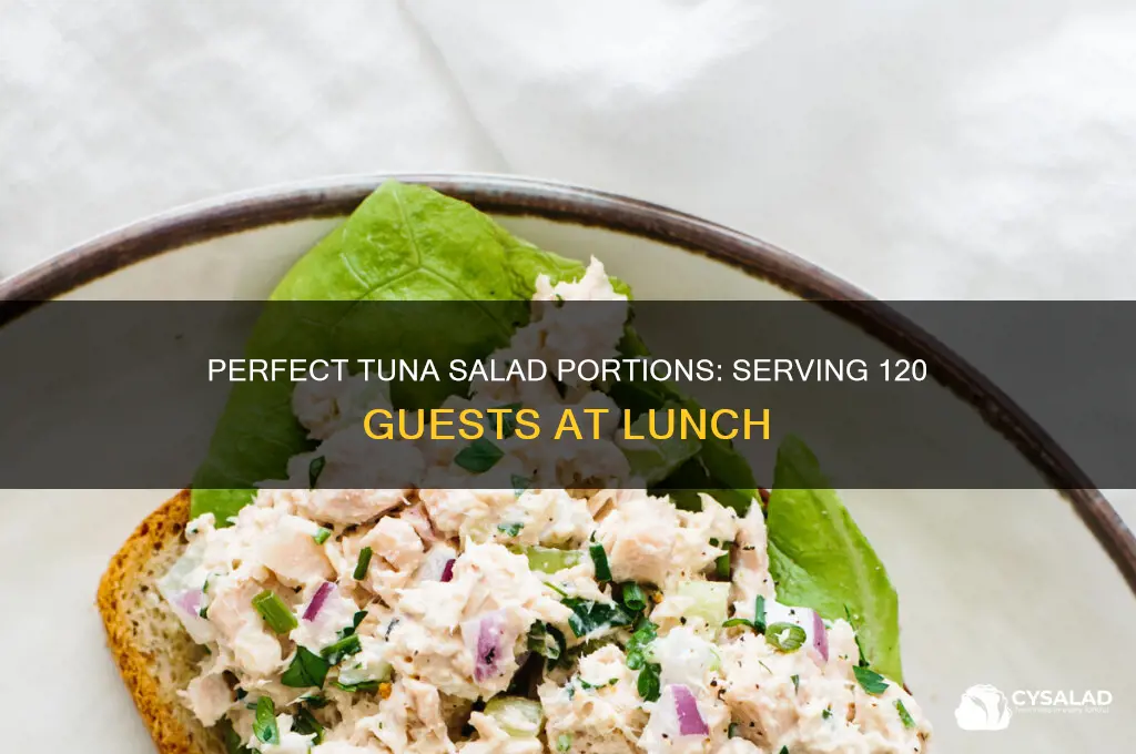Perfect Tuna Salad Portions: Serving 120 Guests At Lunch | CySalad