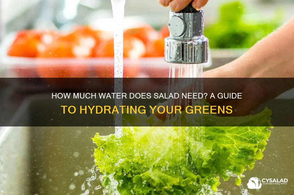 How Much Water Does Salad Need? A Guide To Hydrating Your Greens | CySalad