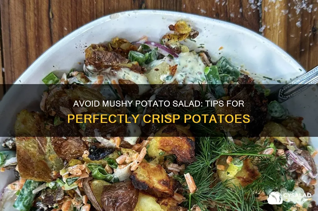 Avoid Mushy Potato Salad: Tips For Perfectly Crisp Potatoes | CySalad
