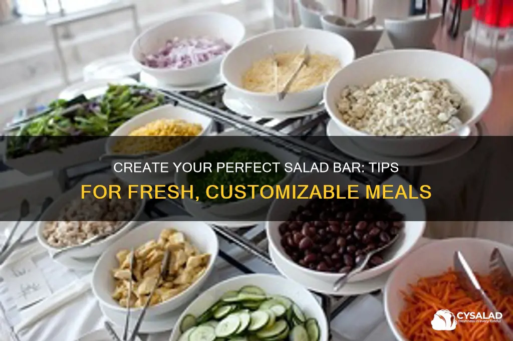 Create Your Perfect Salad Bar: Tips For Fresh, Customizable Meals | CySalad