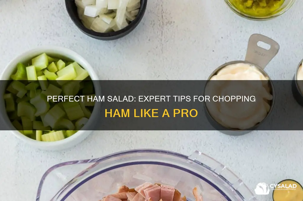 Perfect Ham Salad: Expert Tips For Chopping Ham Like A Pro | CySalad