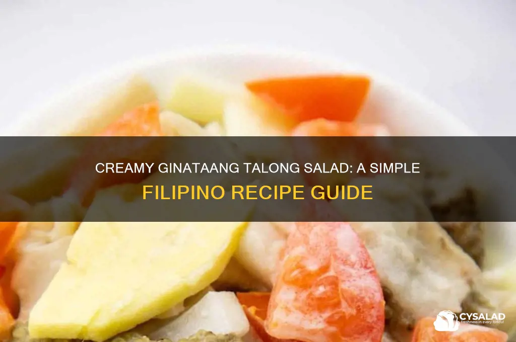 Creamy Ginataang Talong Salad: A Simple Filipino Recipe Guide | CySalad