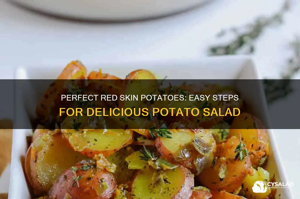 Perfect Red Skin Potatoes: Easy Steps For Delicious Potato Salad | CySalad