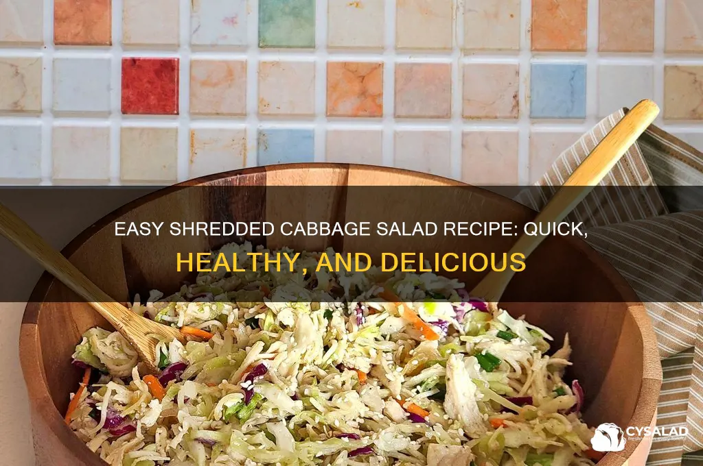 Easy Shredded Cabbage Salad Recipe: Quick, Healthy, And Delicious | CySalad