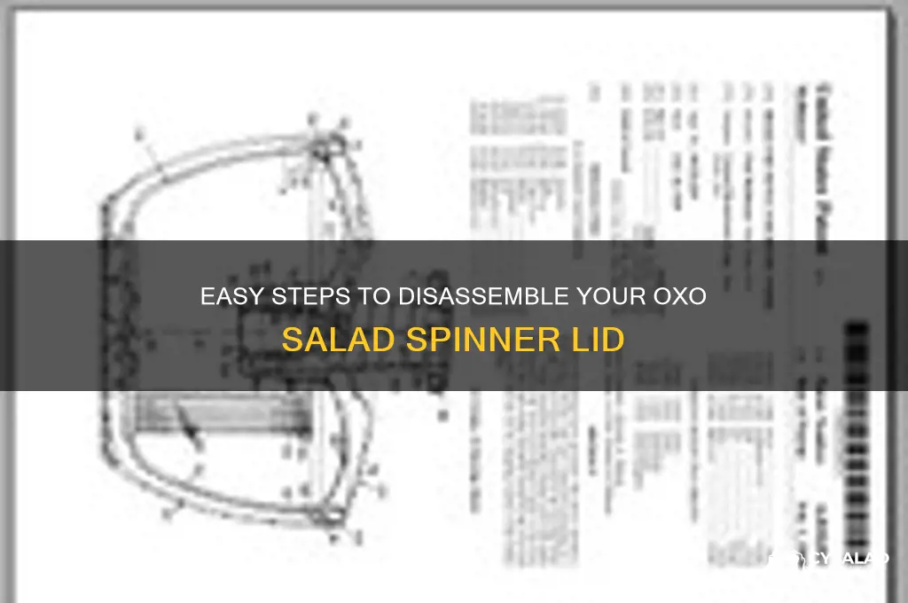 Easy Steps To Disassemble Your Oxo Salad Spinner Lid | CySalad