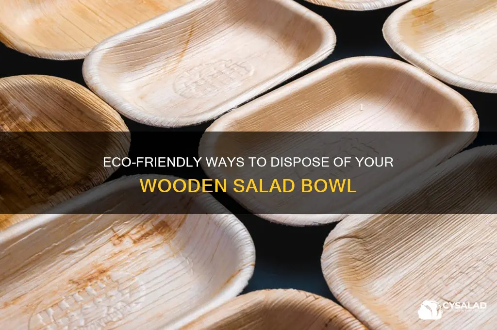 Eco-Friendly Ways To Dispose Of Your Wooden Salad Bowl | CySalad