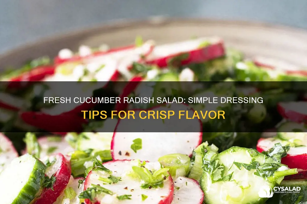Fresh Cucumber Radish Salad: Simple Dressing Tips For Crisp Flavor ...