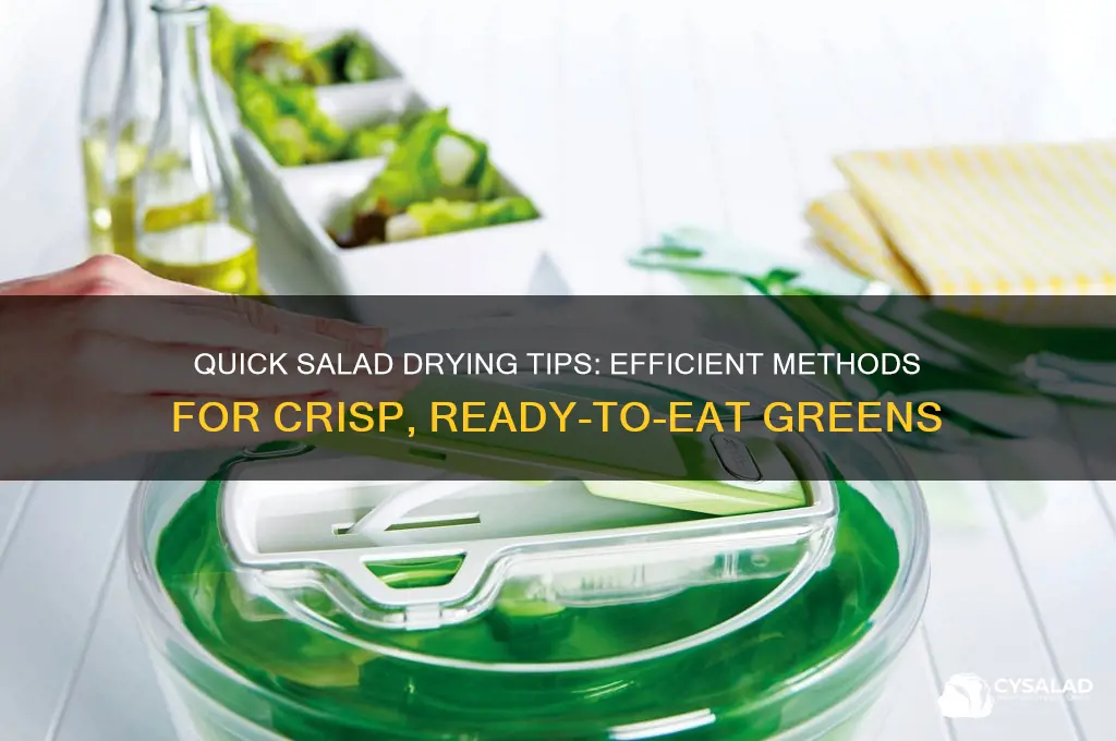 Quick Salad Drying Tips: Efficient Methods For Crisp, Ready-To-Eat ...