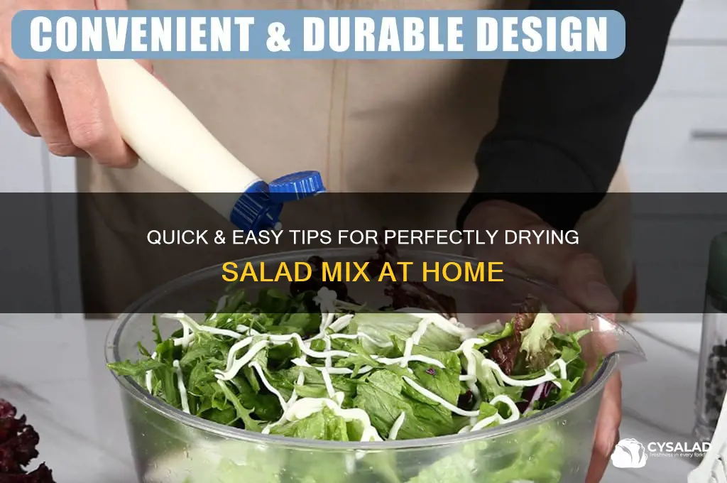 Quick & Easy Tips For Perfectly Drying Salad Mix At Home | CySalad