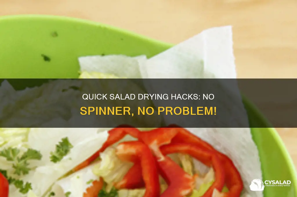 Quick Salad Drying Hacks: No Spinner, No Problem! | CySalad