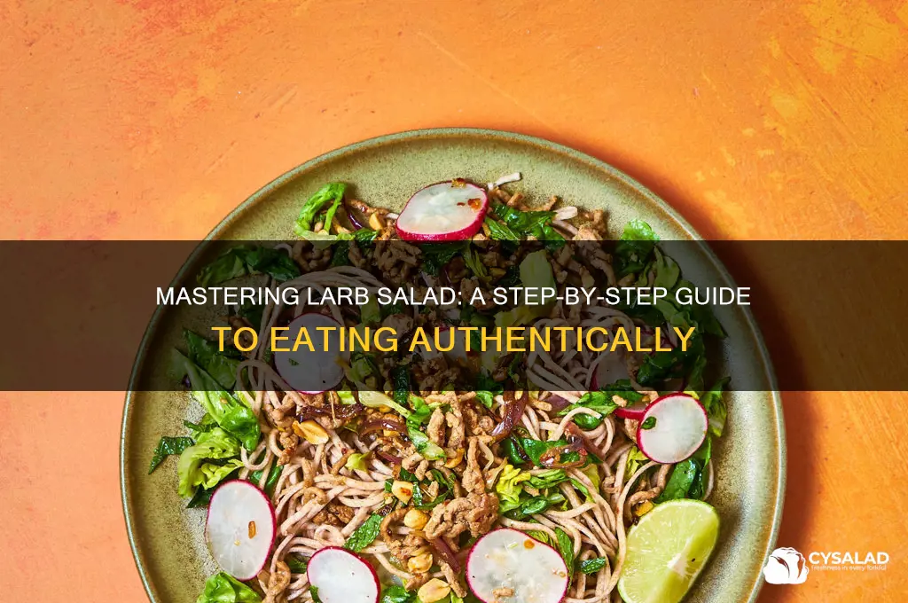 Mastering Larb Salad: A Step-By-Step Guide To Eating Authentically ...