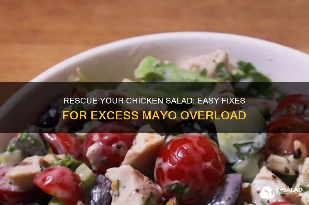 Rescue Your Chicken Salad: Easy Fixes For Excess Mayo Overload | CySalad