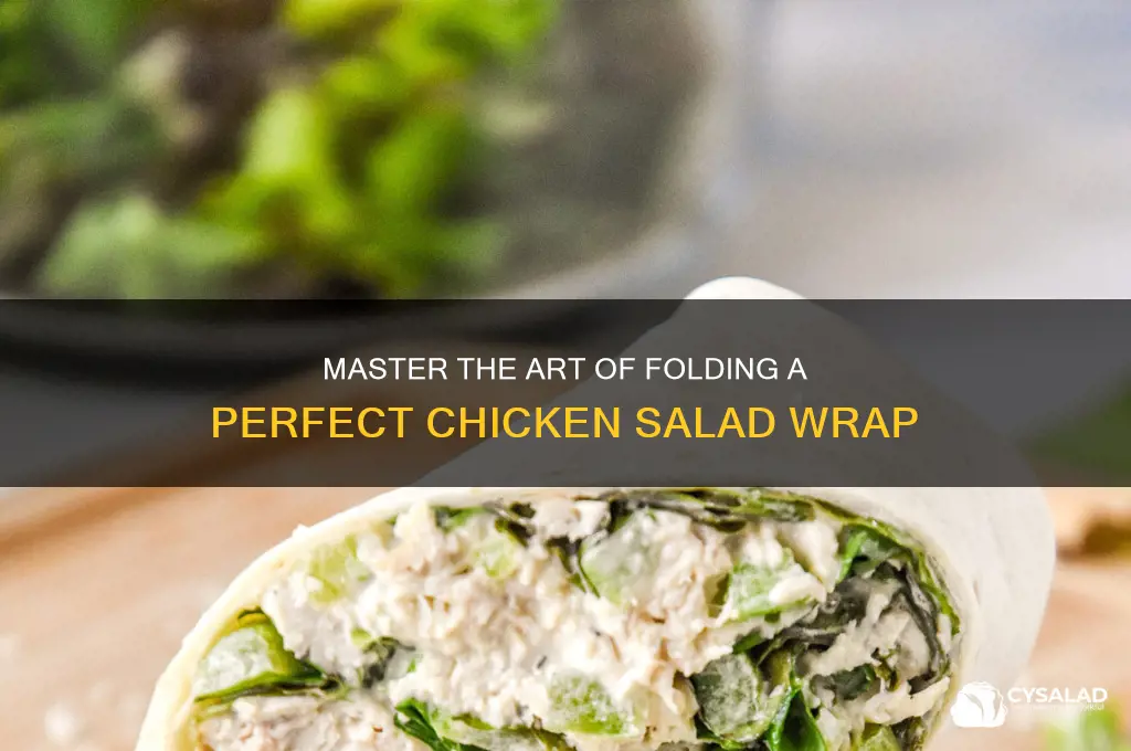 Master The Art Of Folding A Perfect Chicken Salad Wrap | CySalad
