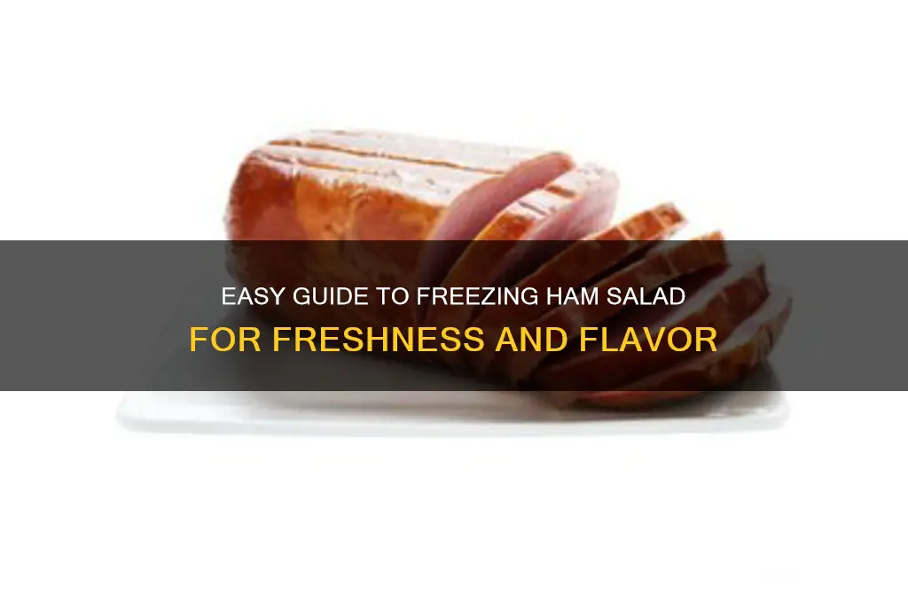 Easy Guide To Freezing Ham Salad For Freshness And Flavor | CySalad