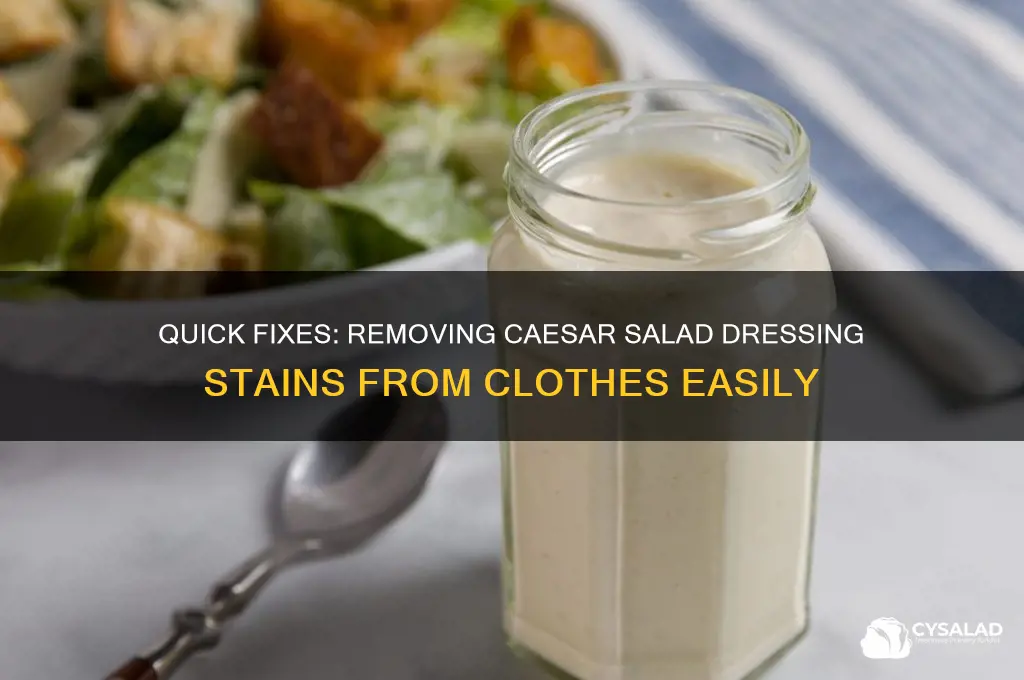Quick Fixes: Removing Caesar Salad Dressing Stains From Clothes Easily ...