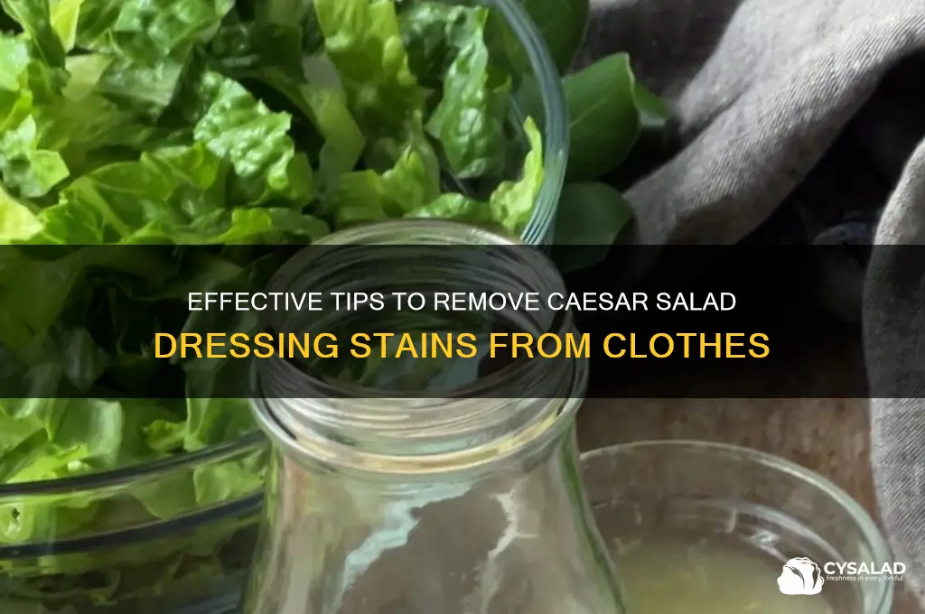 Effective Tips To Remove Caesar Salad Dressing Stains From Clothes ...