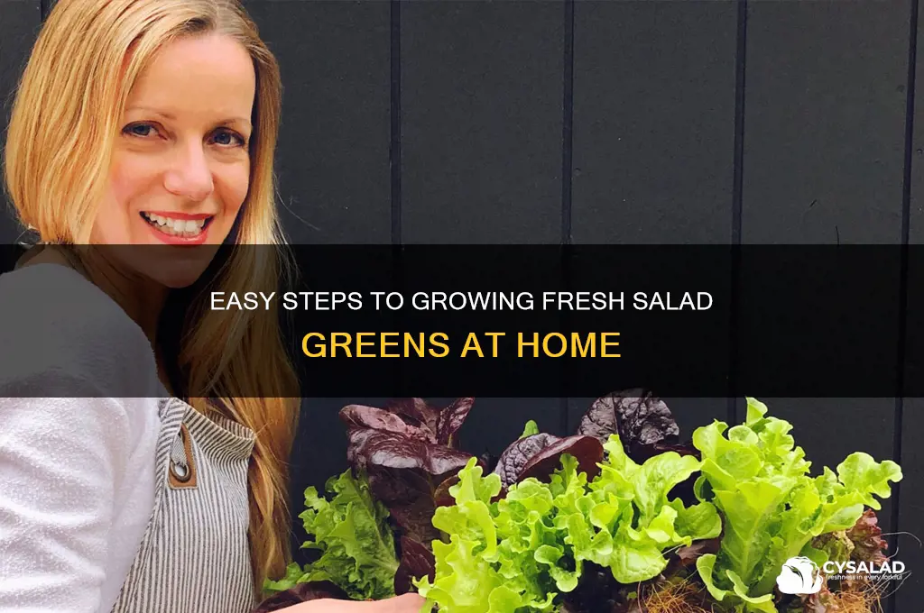 Easy Steps To Growing Fresh Salad Greens At Home | CySalad