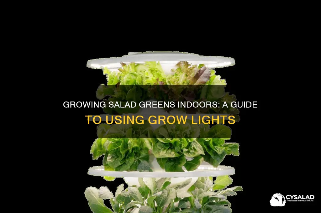 Growing Salad Greens Indoors: A Guide To Using Grow Lights | CySalad